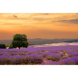papermoon Fototapete &raquo;Lavender Field&laquo; glatt bunt Vlies B/L: 2m x 1,49m, Bahnen: 4 Stk.