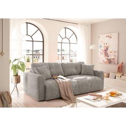 ED EXCITING DESIGN Schlafsofa &raquo;Bullet&laquo; mit Bettkasten & 2 Zierkissen grau 95% Polyester, 5% Polyamide B/H/T: 235cm x 88cm x 120cm, Microvelours, inkl.