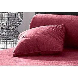Maintal Dekokissen rot Microfaser B/L: 36cm x 36cm, 2 Stk.
