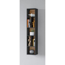 OTTO home Wandregal &raquo;Toledo,H&ouml;he 159 cm stilvolle B&uuml;cherregal, viel Stauraum&laquo; Wandregal Masse 32/159/25 (B/H/T) schwarz ABS-Kunststoff, Holzwerkstoff,