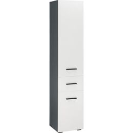Welltime Hochschrank &raquo;Skara&laquo; 3 verstellbaren Einlegeb&ouml;den hinter den T&uuml;ren, Breite 38cm, H&ouml;he 180cm grau Holzwerkstoff anthrazit/R&uuml;ckwand wei&szlig; (innen)