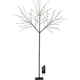 Parforce Traditional Hunting LED Dekoobjekt &raquo;Deko-Baum Albero&laquo; LED-Board 1 Stk. Warmwei&szlig; Ca 250cm hoher Dekobaum mit wei&szlig;e Kugeln, LEDs warmwei&szlig;, Timer schwarz 240, H: 250cm, 1 