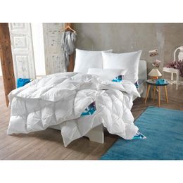 H&auml;ussling Daunenbettdecke &raquo;Hygge Home, Bettdecken f&uuml;r Sommer und Winter, Ganzjahresdecke, Decke&laquo; normal F&uuml;llung weisseneue90Daunenund10FedernKl1 1 Stk. tlg. 