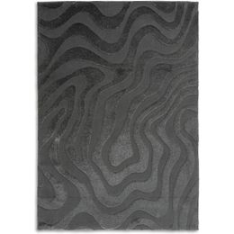 Sch&ouml;ner Wohnen Kollektion SCH&Ouml;NER WOHNEN-Kollektion Teppich &raquo;Blaze 251&laquo; rechteckig 28 mm H&ouml;he Indoor, pflegeleicht, verschiedene Formen, Hoch Tief Struktur Polyester B : 80cm 1