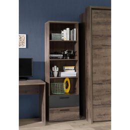 FORTE Standregal &raquo;Jacky&laquo; braun Holzwerkstoff B/H/T: 60cm x 189cm x 35cm