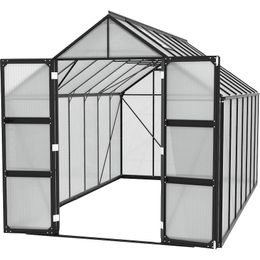 Vitavia Gew&auml;chshaus &raquo;Domus 11500&laquo; mit Doppelschwingt&uuml;ren und bodentiefer T&uuml;rschwelle, 6 mm Hohlkammer schwarz B/H/T: 257cm x 253,9cm x 449cm