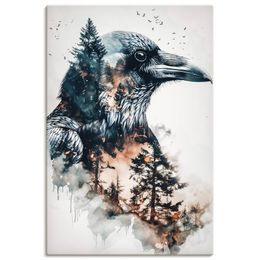 Artland Wandbild &raquo;Rabe&laquo; Vogelbilder 1 Stk. tlg. als Alubild, Leinwandbild, Poster, Wandaufkleber in verschied. Gr&ouml;&szlig;en bunt Leinwand B/H/T: 40cm x 60cm, 