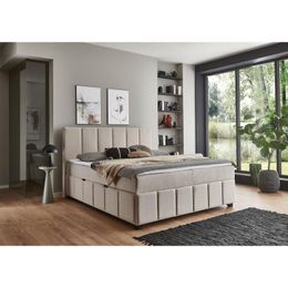 Home Affaire Boxbett &raquo;BELLAH, Polsterbett mit Bettkasten, inkl. Taschenfederkernmatratze H3&laquo; mit Kaltschaum-Topper, Strukturstoff-Bezug, Liegefl&auml;che 