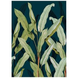 SUPERFRESCO EASY Fototapete &raquo;Tatum&laquo; botanisch glatt 280x200 cm gr&uuml;n Vlies B/L: 2m x 2,8m