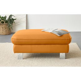 COTTA Hocker &raquo;Driver&laquo; mit edlen Metallf&uuml;&szlig;en braun 100% Echtleder B/H/T: 101cm x 46cm x 65cm, Leder PAMPAS