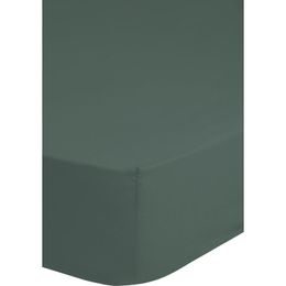 Good Morning Spannbettlaken &raquo;Renforc&eacute; &laquo; 100% Baumwolle, Renforc&eacute;, Rundumgummi, bis 25 cm h&ouml;he, 80x200, Wei&szlig; gr&uuml;n Renforc&eacute;, Obermaterial: 100% 