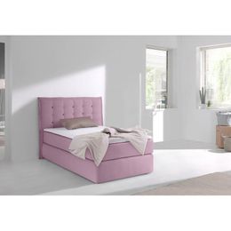 Home Affaire Boxspringbett &raquo;Sagres&laquo; Kopfteil mit 2farbiger Flatterbiese und zweifarbigen Kn&ouml;pfen rosa Feinstruktur(100% Polyester);Bezug der 