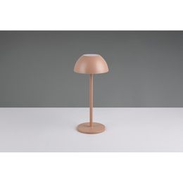 REALITY LEUCHTEN LED Au&szlig;en-Tischleuchte &raquo;RICARDO Tischleuchte (St&uuml;ck)&laquo; LED-Board 1 Stk. Warmwei&szlig; Outdoor Akku Tischlampe Pilzdesign, USB-C, 4-fach 