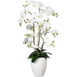 Creativ green Kunstorchidee &raquo;Deko-Orchidee Phalaenopsis XL im Keramiktopf&laquo; wei&szlig; Obermaterial: 100% Polyethylen B/H/L: 50cm x 110cm x 40cm, 1 Stk.