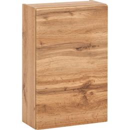Welltime H&auml;ngeschrank &raquo;Lienz&laquo; braun MDF wotaneiche, B/H/T: 40cm x 64cm x 20cm, T&uuml;ren: 1 Stk.
