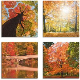 Artland Leinwandbild &raquo;Herbst Wald Panoramas&laquo; Wald 4 Stk. tlg. 4er Set, verschiedene Gr&ouml;&szlig;en orange Leinwand, MDF B/H/T: 30cm x 30cm, Leinwandbild Wald 
