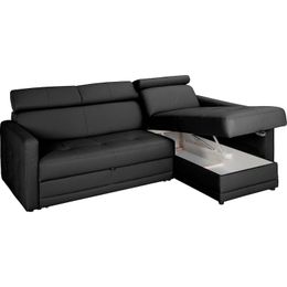 exxpo - sofa fashion Ecksofa &raquo;Arles, Federkern, zeitlos, Breite 225cm, L-Form&laquo; wahlweise mit Bettfunktion und Bettkasten, inkl. Kopfteilverstellung 