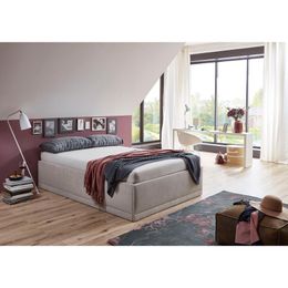 Westfalia Schlafkomfort Polsterbett &raquo;Texel&laquo; Standardh&ouml;he mit Zierkissen, Bettkasten bei Ausf&uuml;hrung mit Matratze beige Bezug Bett: Veloursstoff 100% Polyester oder Microfaser 