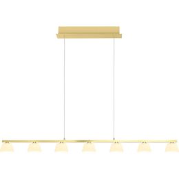 HELL h&ouml;llisch gutes Licht LED Pendelleuchte &raquo;JANE&laquo; LED-Modul 1 Stk. Extra-Warmwei&szlig; Tastdimmer, Dim to warm, Stufenlos h&ouml;henverstellbar gold 7, 1 Stk.