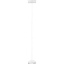 HELL h&ouml;llisch gutes Licht LED Stehlampe &raquo;MESH-B&laquo; LED-Modul 1 Stk. Warmwei&szlig; Tastdimmer 1, &Oslash; 16cm H: 120cm, 1 Stk.