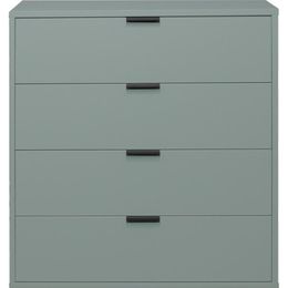 M&auml;usbacher Kommode &raquo;Bonnie&laquo; Kommode mit 4 Schubladen gr&uuml;n Holzwerkstoff B/H/T: 81cm x 87cm x 45cm, 4 Stk.