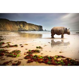 papermoon Fototapete &raquo;Strand Rino&laquo; bunt Vlies B/L: 3m x 2,2m, Rollen: 1
