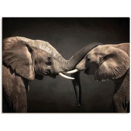 Artland Leinwandbild &raquo;Zwei Elefanten&laquo; Wildtiere 1 Stk. tlg. auf Holzrahmen gespannt schwarz Leinwand B/H/T: 80cm x 60cm, Leinwandbild Wildtiere Querformat, 1 