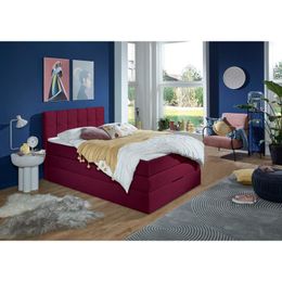 Home Affaire Boxspringbett &raquo;Fornoli&laquo; inkl. Topper und Bettkasten, H3 in zwei Matratzenarten rot Flachgewebe, Liegefl&auml;che B/L: 120cm x 200cm, Gewicht 