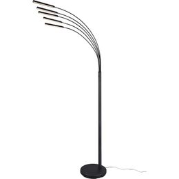 REALITY LEUCHTEN LED Stehlampe &raquo;Reed&laquo; LED-Modul Warmwei&szlig; Sensordimmer, Memory Funktion schwarz 5, H: 196cm