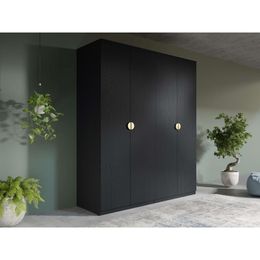 Home Affaire Kleiderschrank &raquo;BELLOT Garderobe, W&auml;scheschrank mit 4 Einlegeb&ouml;den und 2 Kleiderstange&laquo; mit 4 Dreht&uuml;ren und goldenen Griffen, Ma&szlig;e B/T/H: