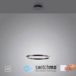 JUST LIGHT Pendelleuchte &raquo;RITUS&laquo; LED-Board 1 Stk. Warmwei&szlig; LED, dimmbar, Switchmo grau 1, &Oslash; 3,9cm, 1 Stk.