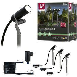 Paulmann LED Gartenstrahler &raquo;Plug & Shine&laquo; LED-Modul 5 Stk. Warmwei&szlig; LED-Modul, 3000K 24V Anthrazit grau 3, &Oslash; 2cm H: 22cm, 5 Stk.