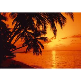 papermoon Fototapete &raquo;Tropic Sunset&laquo; glatt bunt Vlies B/L: 1,5m x 1,11m, Bahnen: 7 Stk.