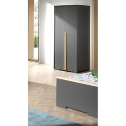 Vipack Kleiderschrank &raquo;London&laquo; Made in Europe, mit Melamin-Oberfl&auml;che und Soft-Close grau Holzwerkstoff B/H/T: 98,5cm x 195,2cm x 56cm, T&uuml;ren: 2 Stk.