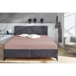 Primera Spannbettlaken &raquo;Cozy Cotton Spannbetttuch&laquo; in hochwertiger Qualit&auml;t rosa Biber, Obermaterial: 100% Baumwolle B/L: 190cm x 200cm, 1 Stk., Biber, 