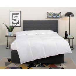 OTTO home Daunenbettdecke &raquo;Cyra, Bettdecke 135x200 cm, 155x220 cm&laquo; normal F&uuml;llung 70% Daunen und 30% Federn Bezug Baumwolle 1 Stk. tlg. wo besonders 