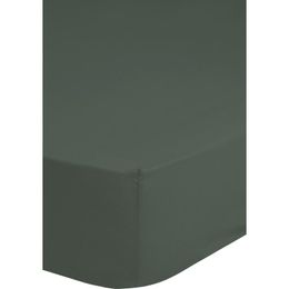 HIP Spannbettlaken &raquo; in Gr. 90x200, 140x200 oder 180x200 cm&laquo; 100% Baumwolle, Mako-Satin, Rundumgummi, bis 25 cm H&ouml;he gr&uuml;n Satin, Obermaterial: 100% 