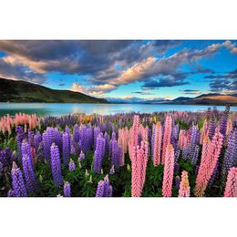 papermoon Fototapete &raquo;See Tekapo Lupinen&laquo; bunt Vlies B/L: 3m x 2,23m, Bahnen: 6 Stk.