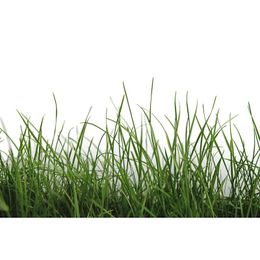 ARCHITECTS PAPER Fototapete &raquo;Green Grass&laquo; Vlies, Wand, Schr&auml;ge gr&uuml;n Vlies B/L: 4m x 2,7m