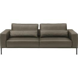 Musterring 3-Sitzer &raquo;JustB!PM100, 242 cm breit, aus hochwertigem Leder&laquo; XL-Sofa, wahlweise mit Nierenkissen und mot. Sitzauszug, Fu&szlig; schwarz braun 100% Leder B/H