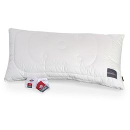 Stendebach Synthetikkopfkissen &raquo;Climacozy Kissen&laquo; 1 Stk. tlg. temperaturregulierendes Synthetikkopfkissen, in 40x80 oder 80x80 cm wei&szlig; Bezug: 100% Baumwolle. 