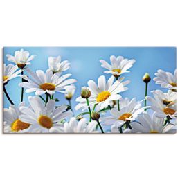 Artland Leinwandbild &raquo;Blumen - Margeriten&laquo; Blumen 1 Stk. tlg. auf Holzrahmen gespannt wei&szlig; B/H/T: 100cm x 50cm, Leinwandbild Blumen Querformat, 1 Stk.
