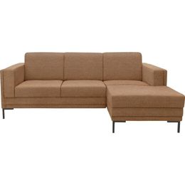 LOOKS by Wolfgang Joop Ecksofa &raquo;LOOKS VII L-Form&laquo; klare Linien, edles Design braun 100% Polyester B/H/T: 214cm x 82cm x 146cm, Struktur fein, 