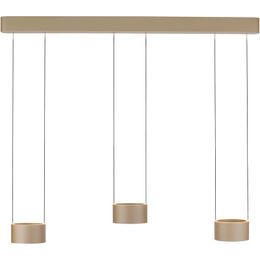 Neuhaus PURE LED Pendelleuchte &raquo;PURE Clipse&laquo; LED-Board 1 Stk. warmwei&szlig; - kaltwei&szlig; Comfort Lift, CCT, dimmbar &uuml;ber Fernbedienung beige 6, &Oslash; 15cm H: 