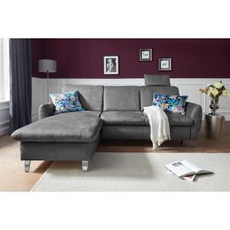 Sit & More sit&more Ecksofa &raquo;Daytona L-Form&laquo; mit Federkern, einer Kopfst&uuml;tze und wahlweise mit Schlaffunktion grau B/H/T: 245cm x 93cm x 164cm, Luxus-Microfaser 