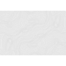 ARCHITECTS PAPER Fototapete &raquo;Atelier 47 Chaotic Lines 2&laquo; geometrisch glatt Vlies, Wand, Schr&auml;ge, Decke grau Vlies B/L: 4m x 2,7m