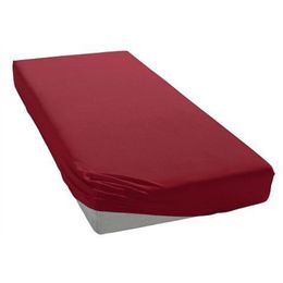 bellana Spannbettlaken &raquo;bellana Luxuszwirn mit Elasthan, Jersey 175 g/m&sup2;, faltenfrei&laquo; gezwirnte Baumwolle mit Elasthan, bis 35cm Matratzenh&ouml;he, 