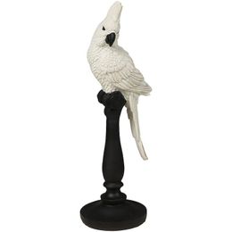 AMBIENTE HAUS Tierfigur &raquo;Papagei Figur&laquo; wei&szlig; Polyresin B/H/T: 10cm x 31cm x 10cm