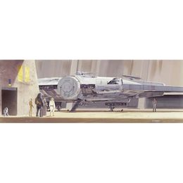 Komar Fototapete &raquo;STAR WARS Classic RMQ Millennium Falcon - Gr&ouml;&szlig;e 368 x 127 cm&laquo; bedruckt glatt Kinderzimmer bunt Papier B/L: 368m x 127m, Rollen: 4