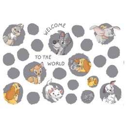 Komar Wandtattoo &raquo;A simple Start - Gr&ouml;&szlig;e 100 x 70 cm&laquo; selbstklebend, Wandsticker, Kinderzimmer bunt Folie B/H/T: 100cm x 70cm